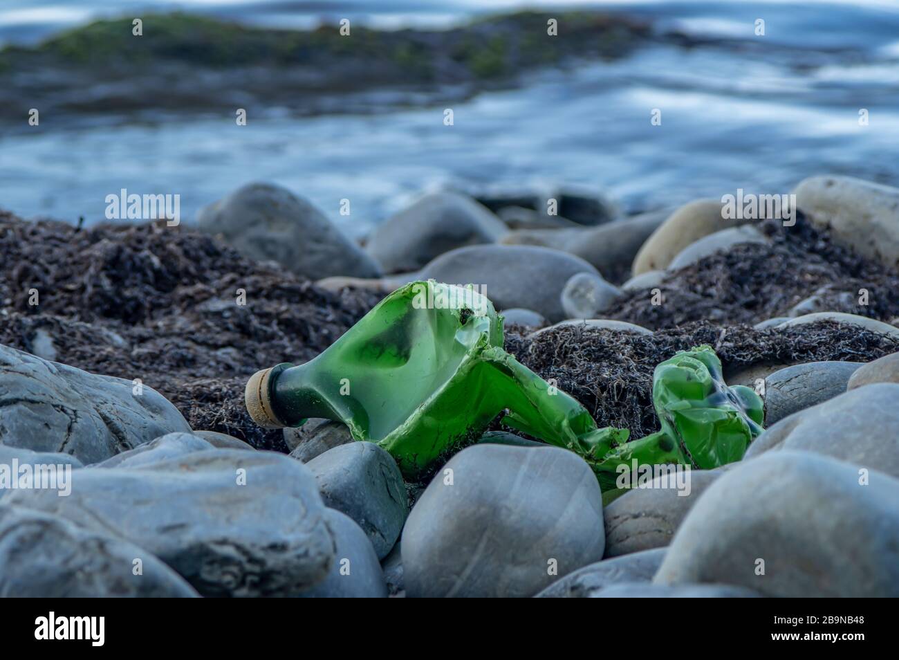 plastic bottle thrown on rocks by the sea Stock Photo - Alamy