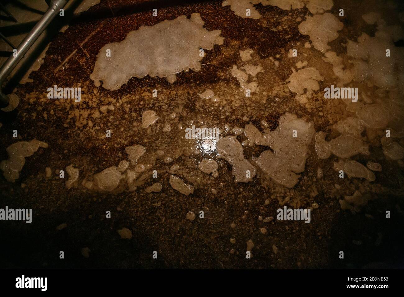 Brewing process. Fermentation of beer inside the vat Stock Photo - Alamy