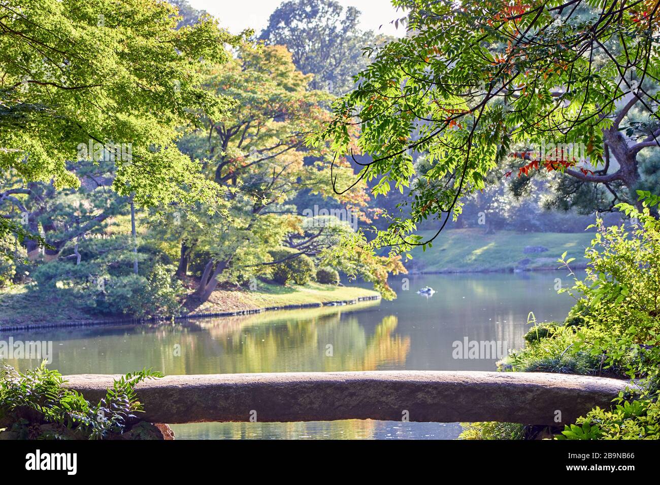 Lake in the Japanese style garden during the sunset Stock Photo - Alamy