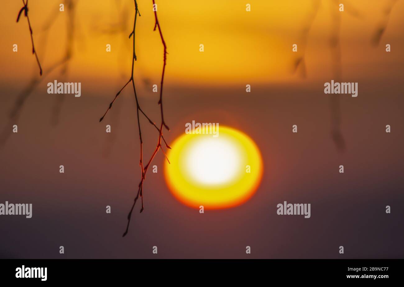 Sunset through curtains hi-res stock photography and images - Alamy