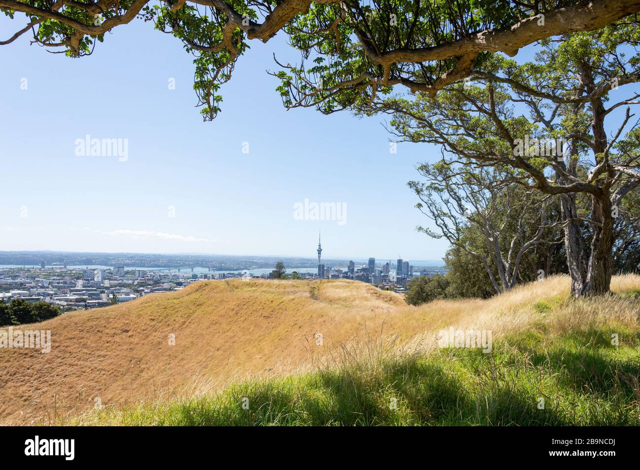 View of auckland city from mount eden hi-res stock photography and ...