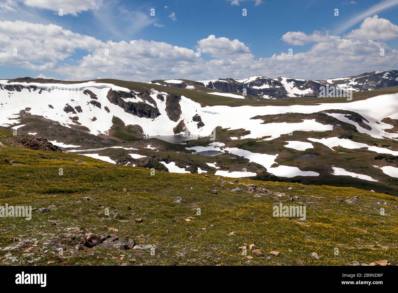 Beartooth highway snow hi-res stock photography and images - Alamy