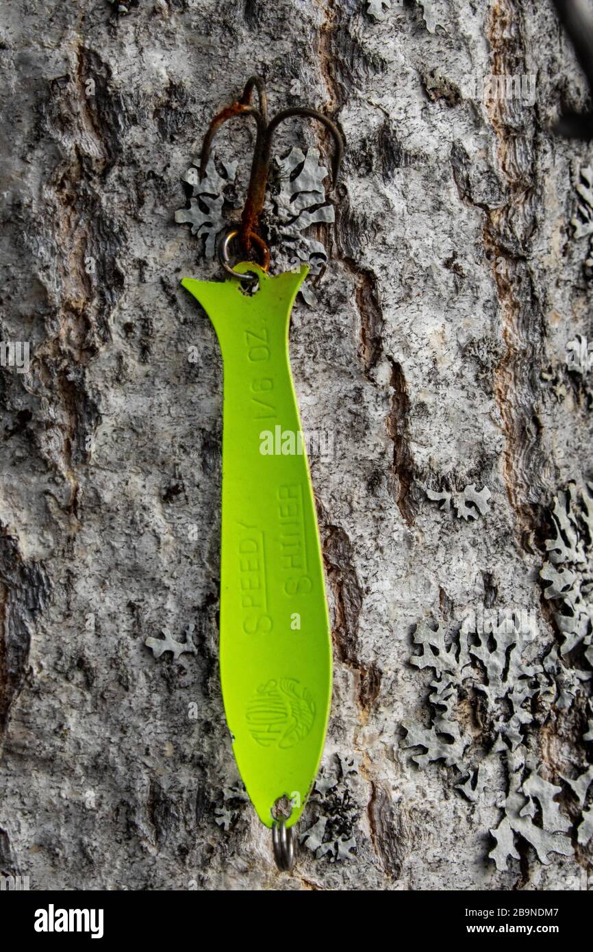 Tree hook hi-res stock photography and images - Alamy