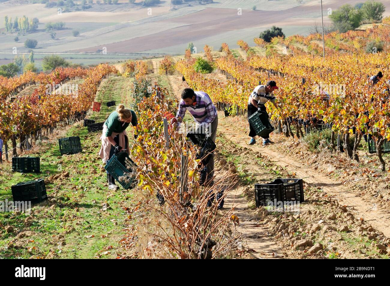 Laborers hi-res stock photography and images - Alamy