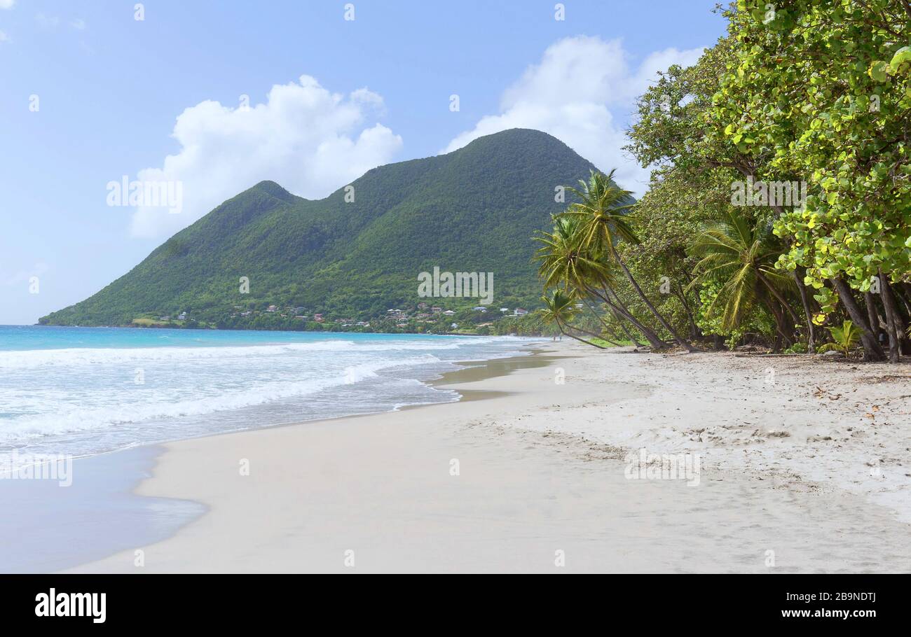 The magnificent Caribbean beach , Martinique island. France Stock Photo ...