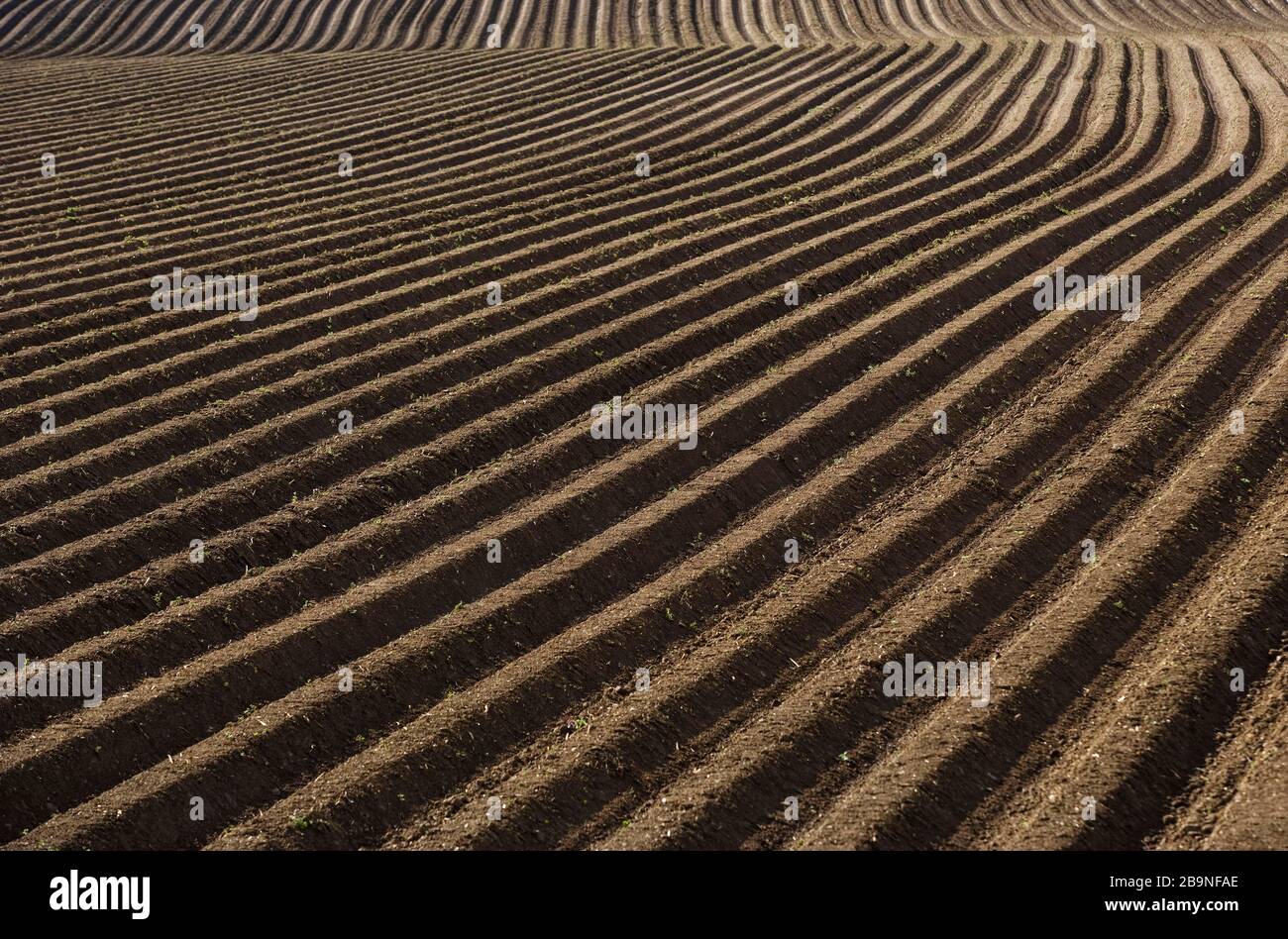 Upper structure hi-res stock photography and images - Alamy