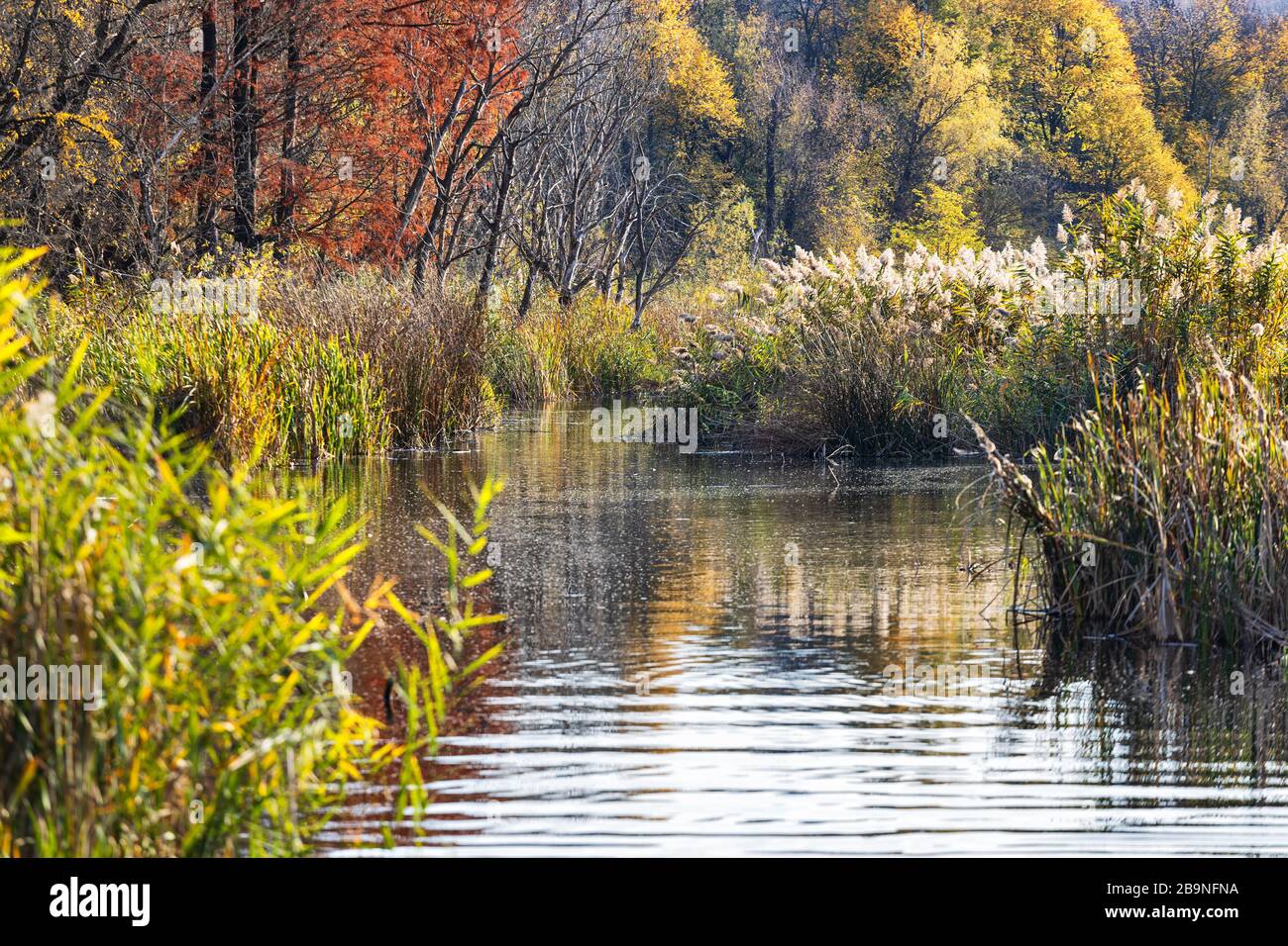 Neajlov river hi-res stock photography and images - Alamy