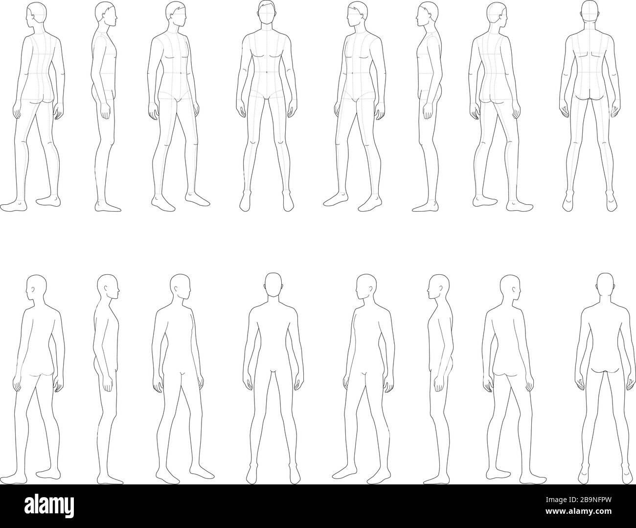 3 4 body view Stock Vector Images - Alamy