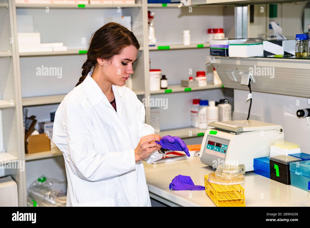 Female student or lab assistant working in lab Stock Photo - Alamy