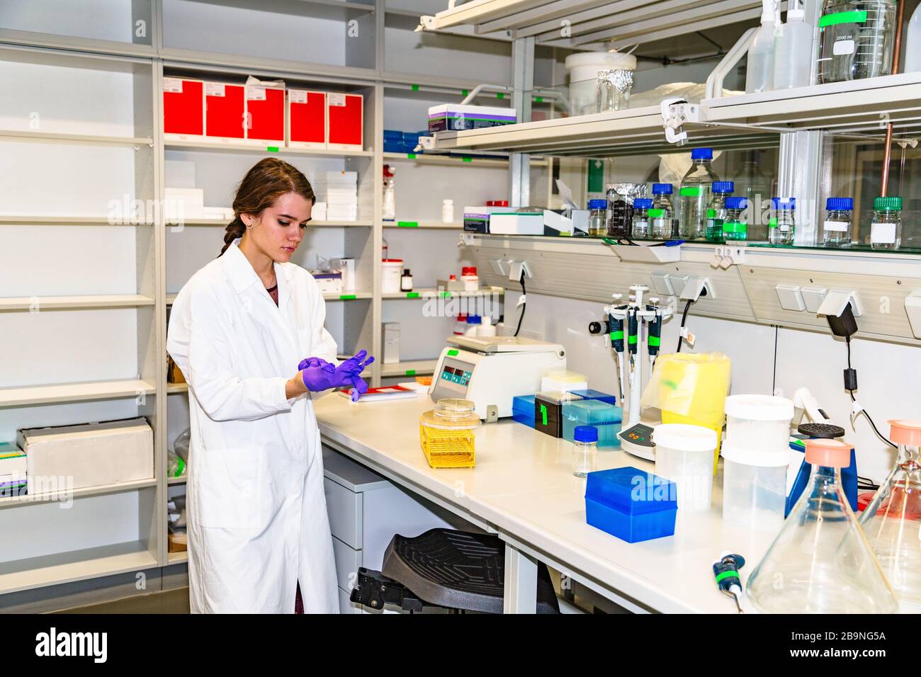 Scientist histology lab hi-res stock photography and images - Alamy