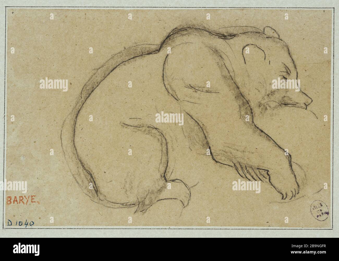 Ours animal hi-res stock photography and images - Alamy