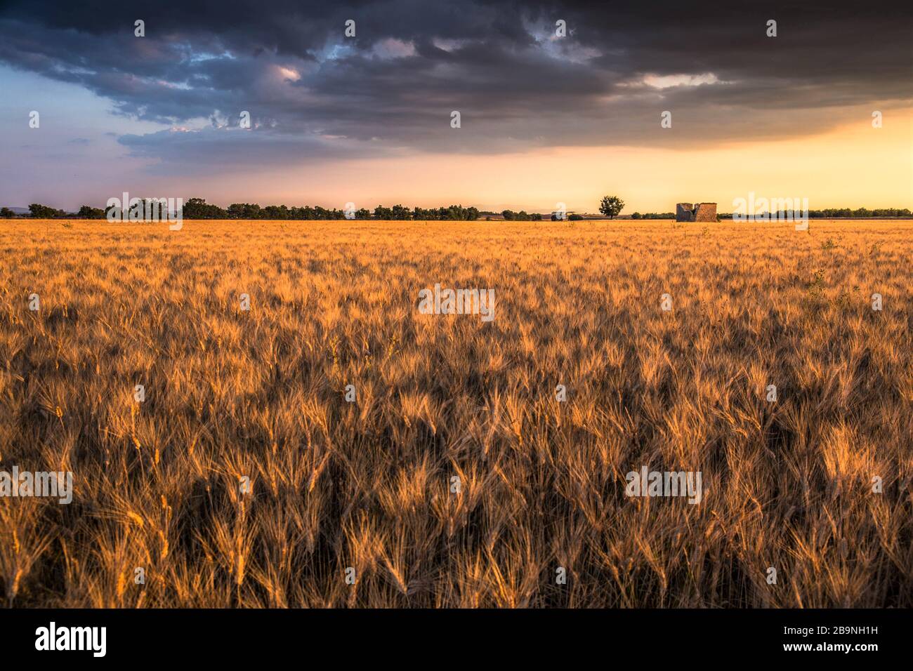 Campo di hi-res stock photography and images - Alamy