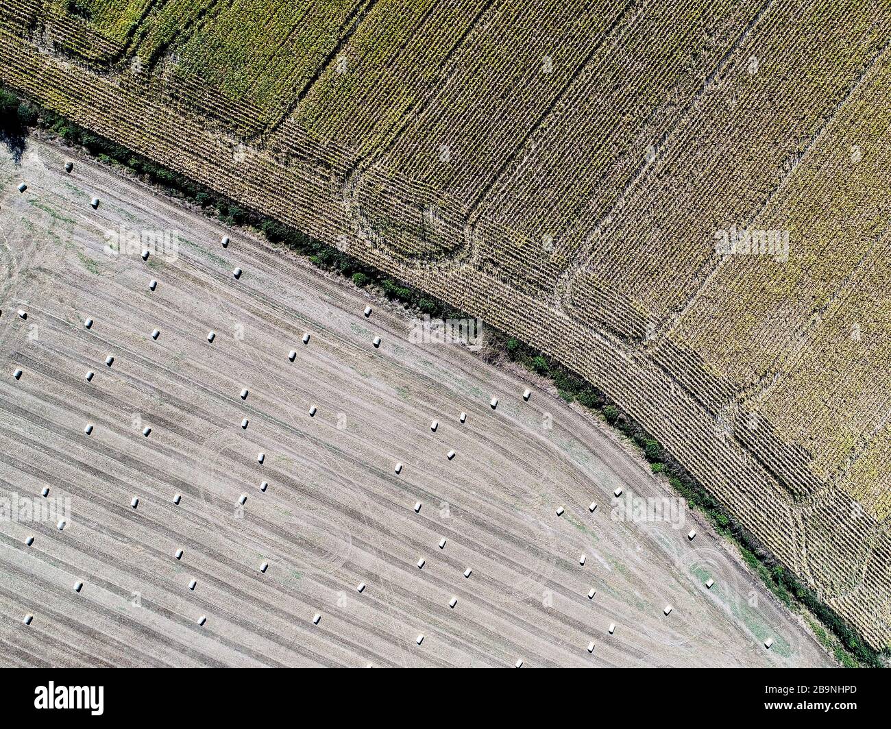 Aerial field corn midwest hi-res stock photography and images - Alamy