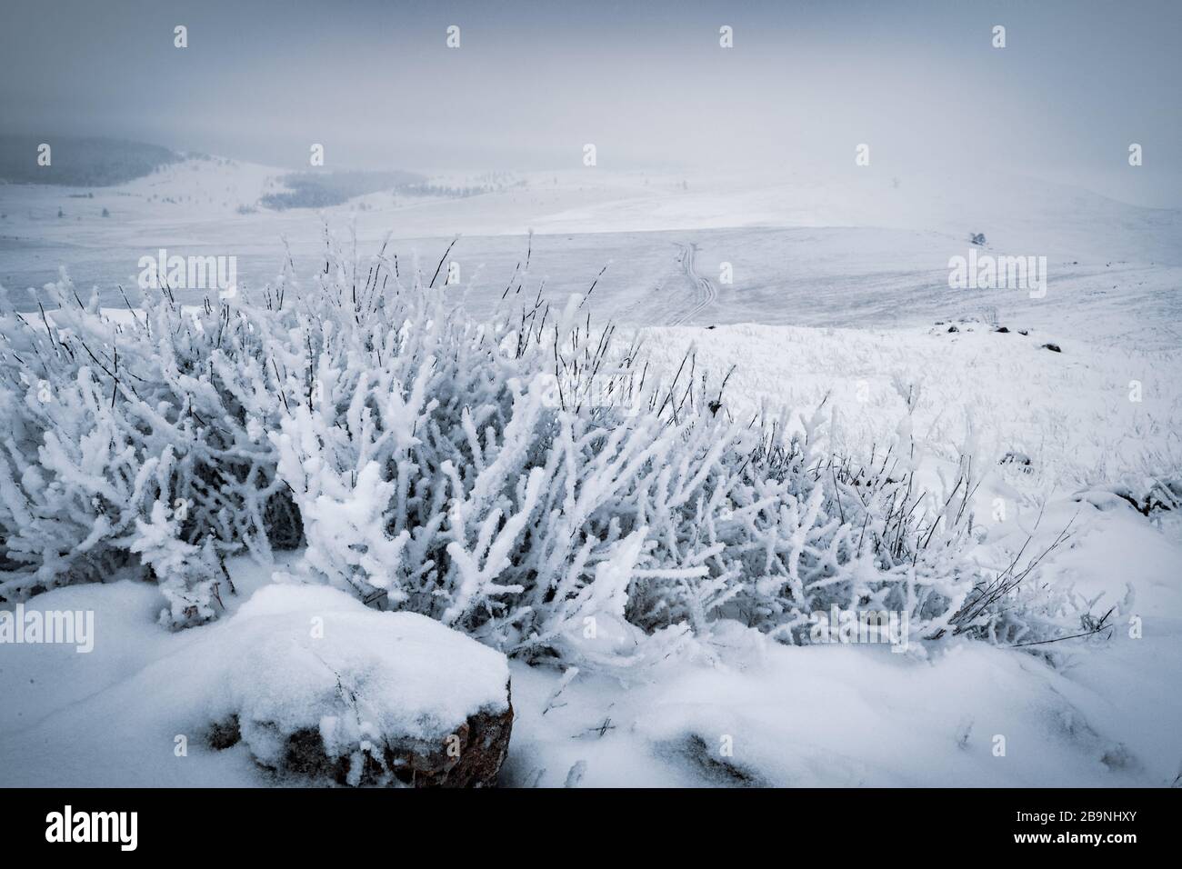 Siberian landscape hi-res stock photography and images - Alamy