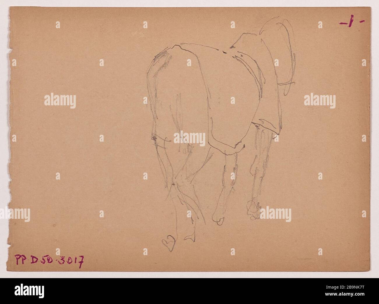 Two leaves of a sketch pad: horseback and face lion's head and profile ...