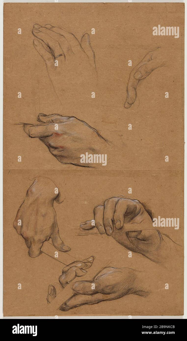 Study of Hands Stock Photo - Alamy