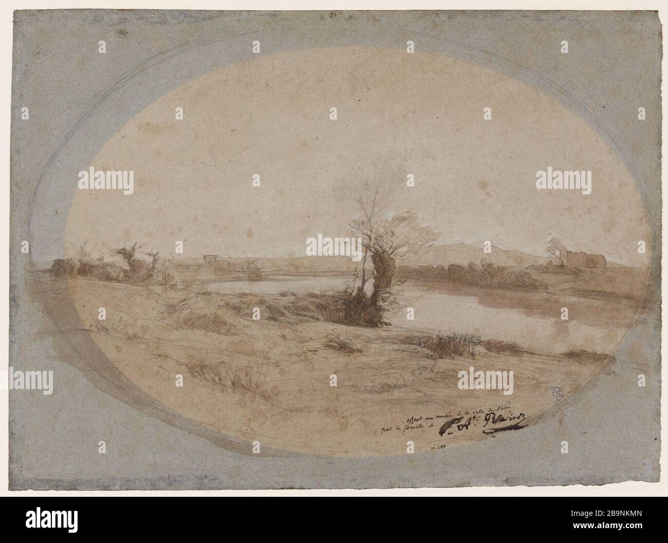 Oval shape in nature hi-res stock photography and images - Alamy