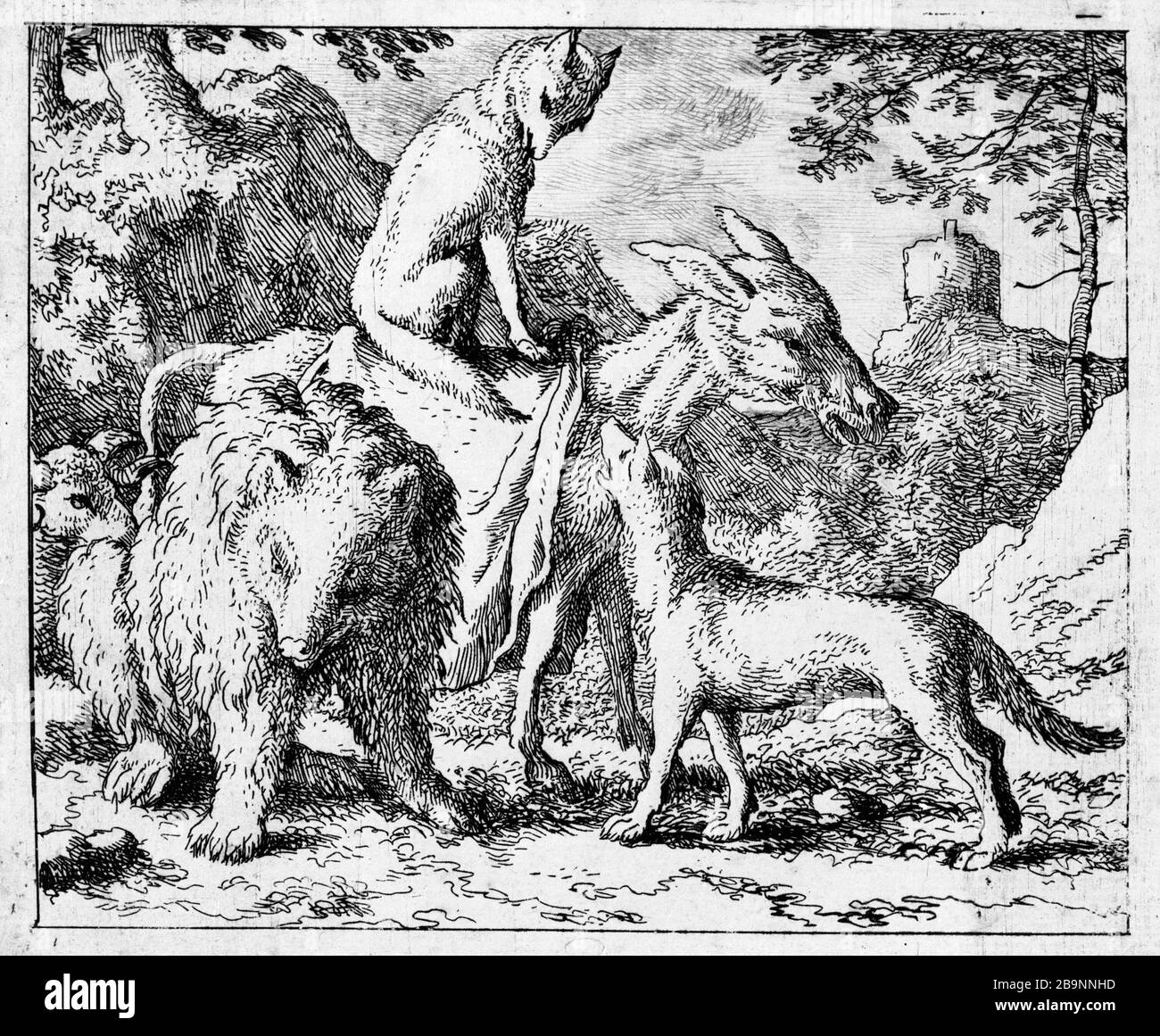 Renard mounted Black and White Stock Photos & Images - Alamy