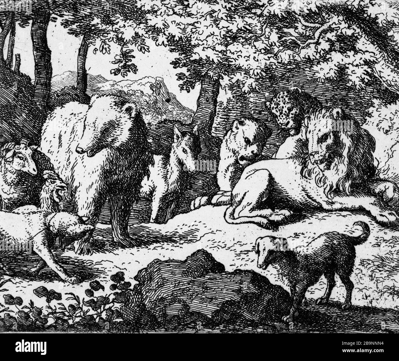 Roman de renart hi-res stock photography and images - Alamy