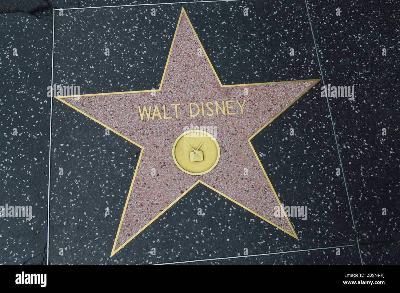The Hollywood Walk of Fame comprises more than 2,600 five-pointed ...