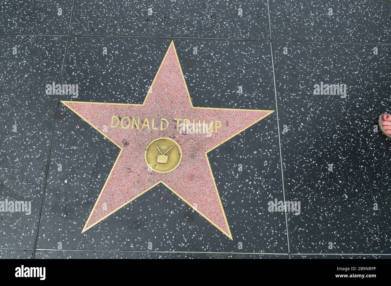 The Hollywood Walk of Fame comprises more than 2,600 five-pointed ...