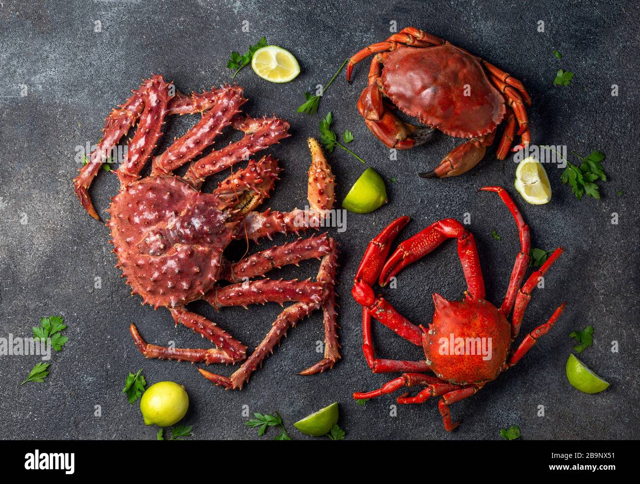 Crabs seafood background with crabs selections on black background ...