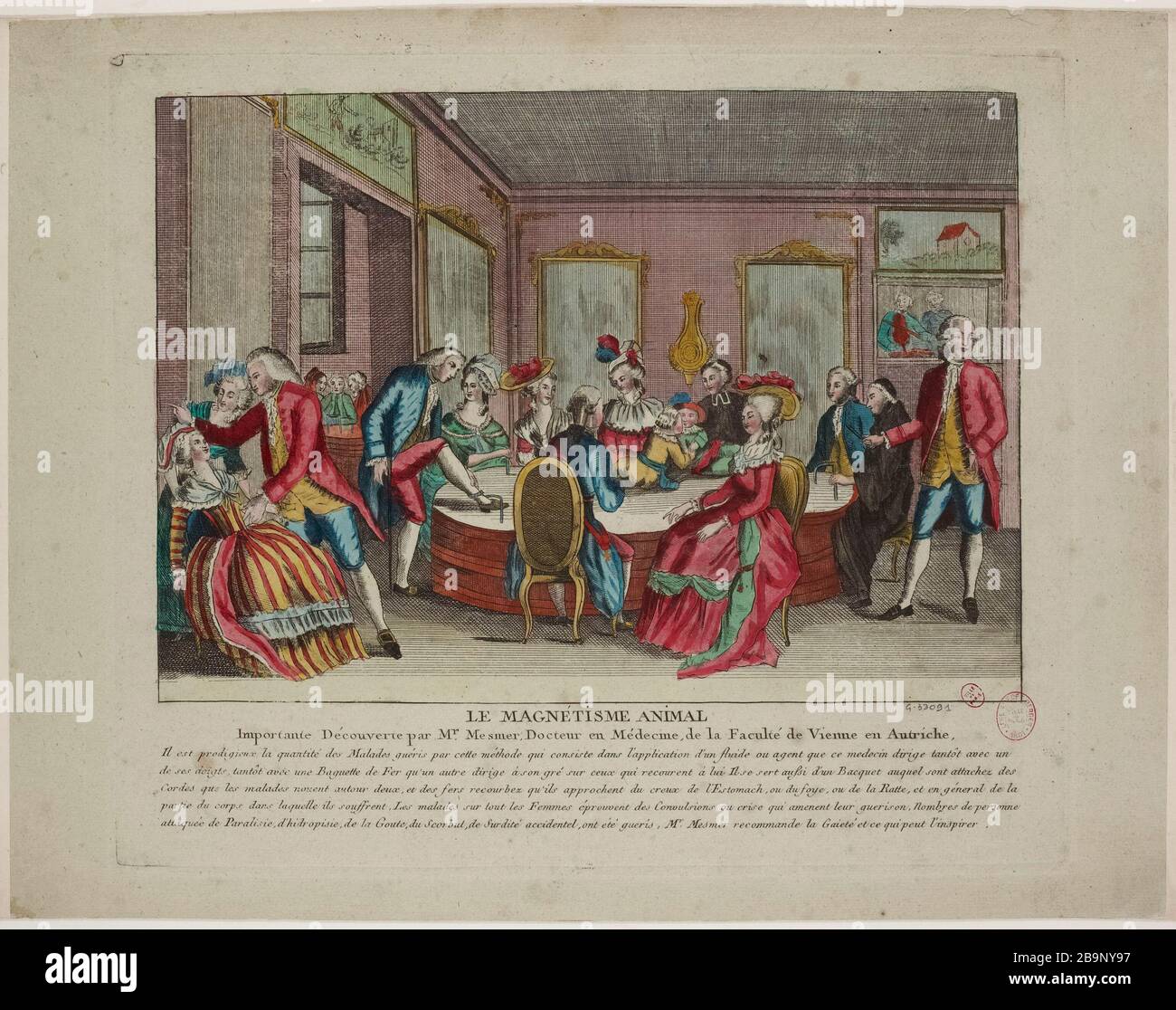 Animal magnetism hi-res stock photography and images - Alamy