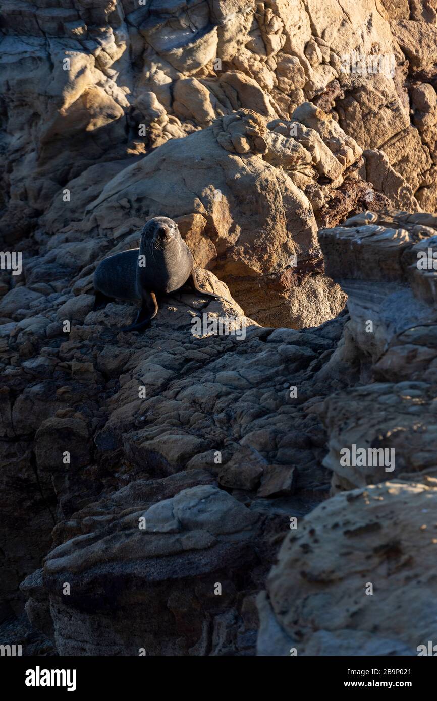 Maori point hi-res stock photography and images - Alamy