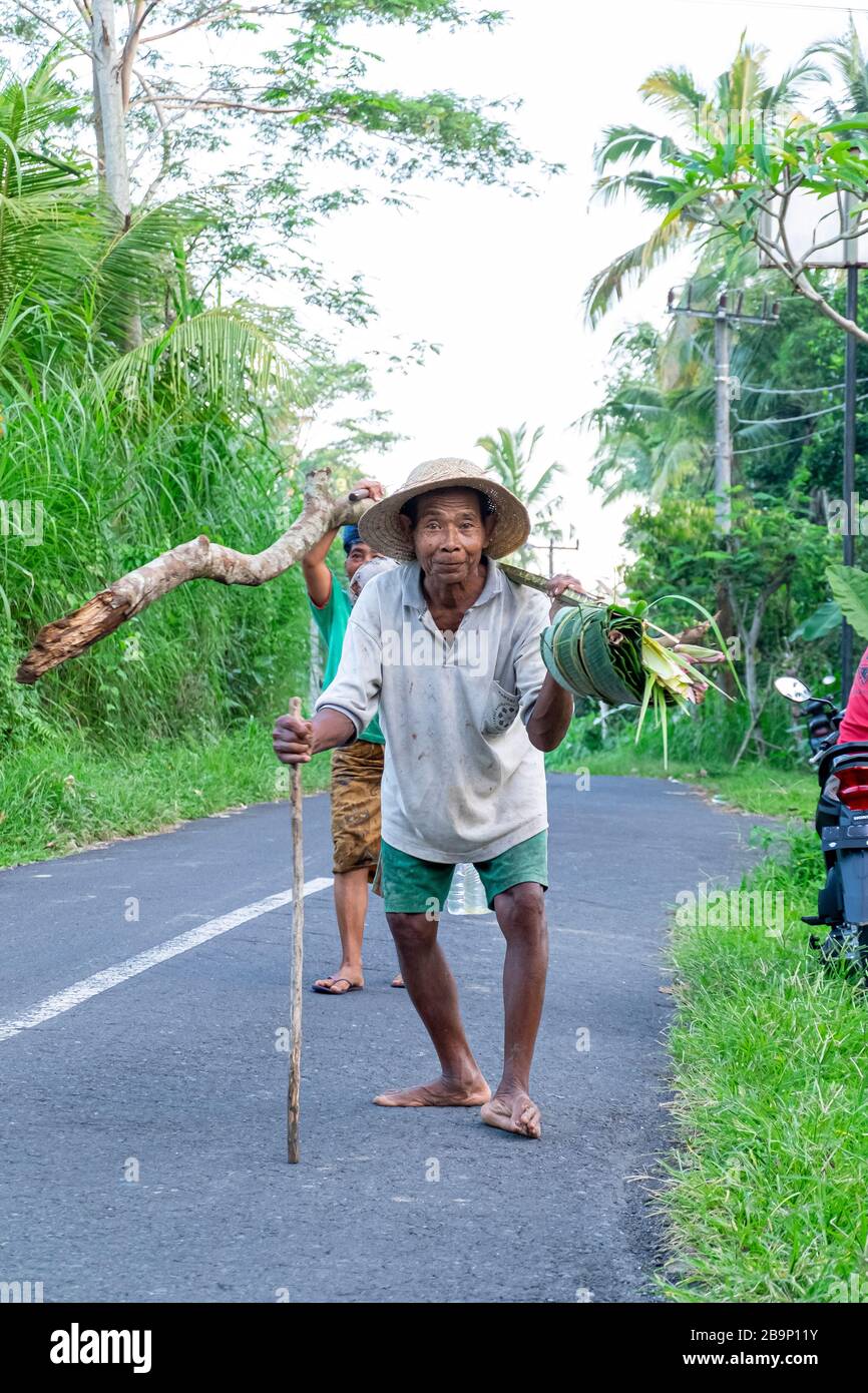 Carrying palm leaves hi-res stock photography and images - Alamy