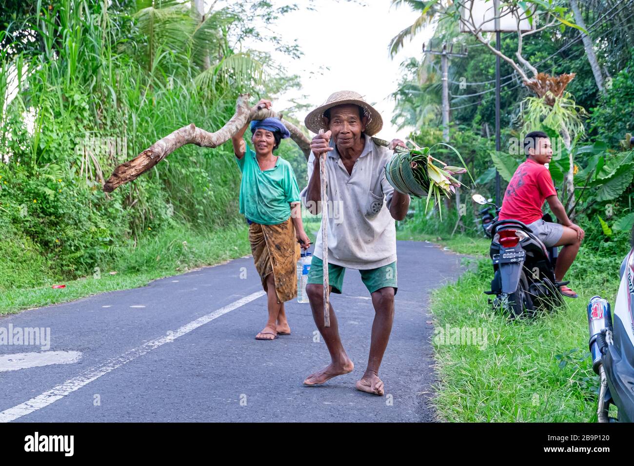 Indonesian old Man and old Woman carrying Palm tree leaves, logs and ...