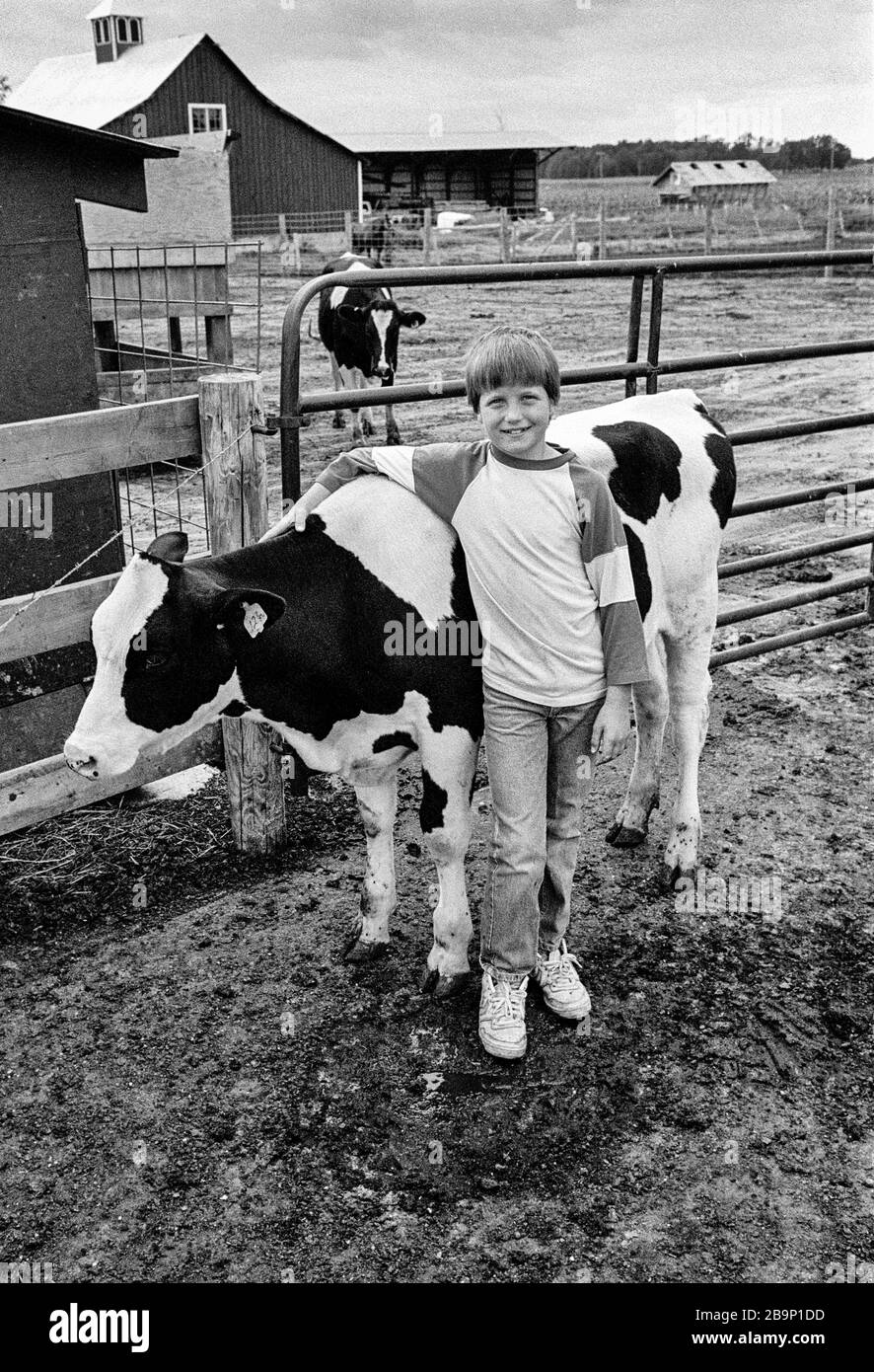 Young farm boy (model released) poses with holstein he will show at ...