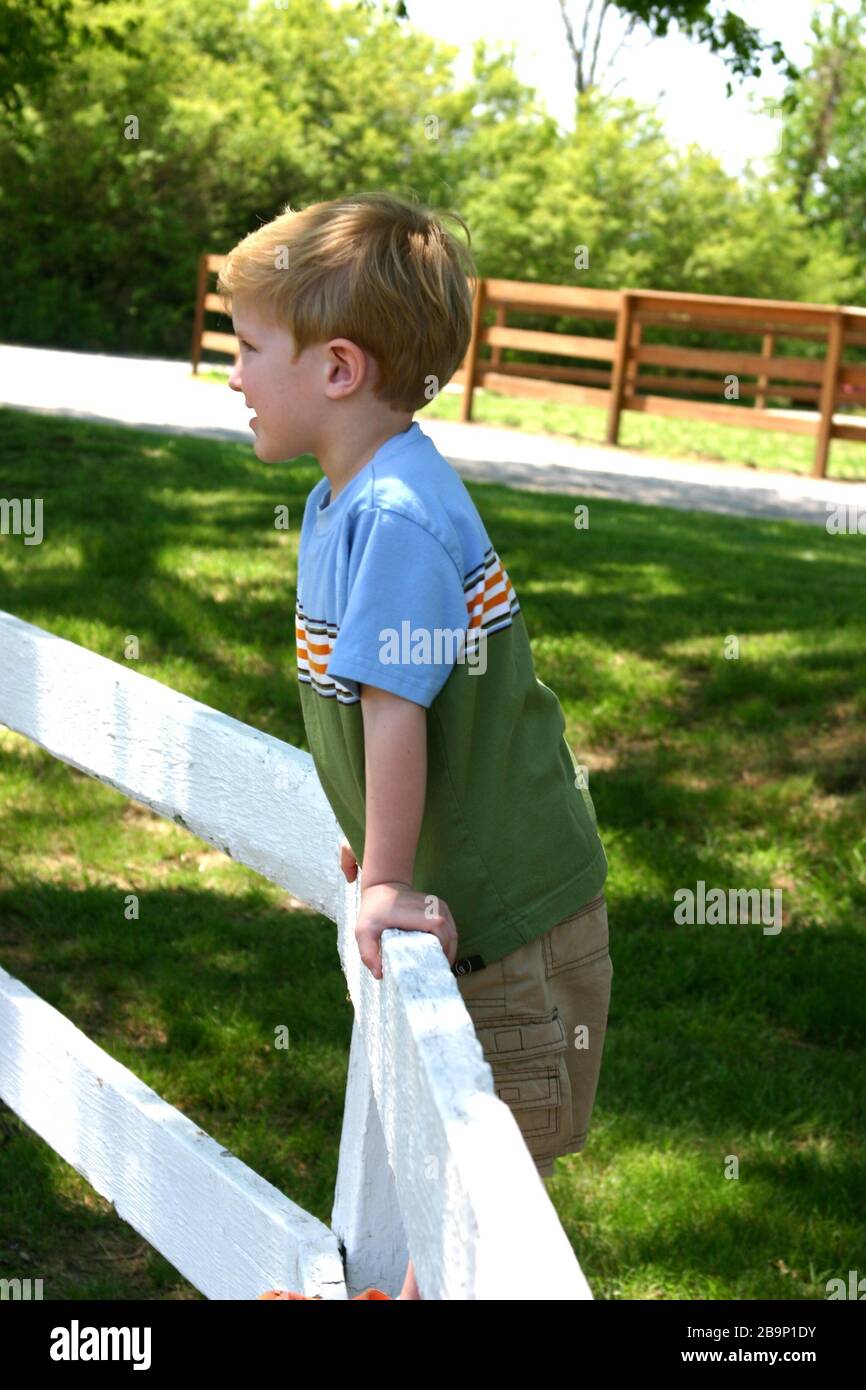 Peeking over fence hi-res stock photography and images - Alamy