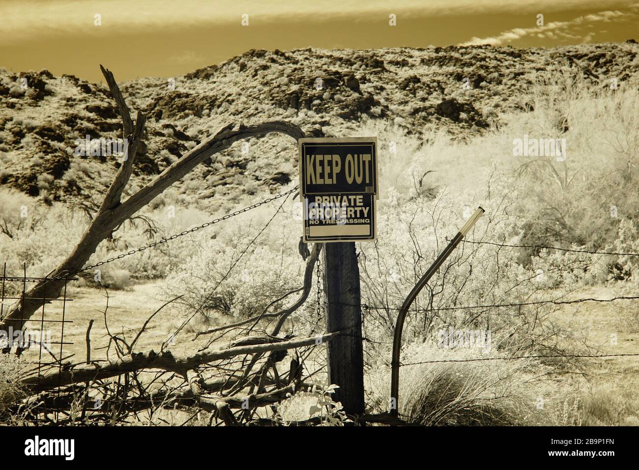 Stop sign on desert hi-res stock photography and images - Alamy