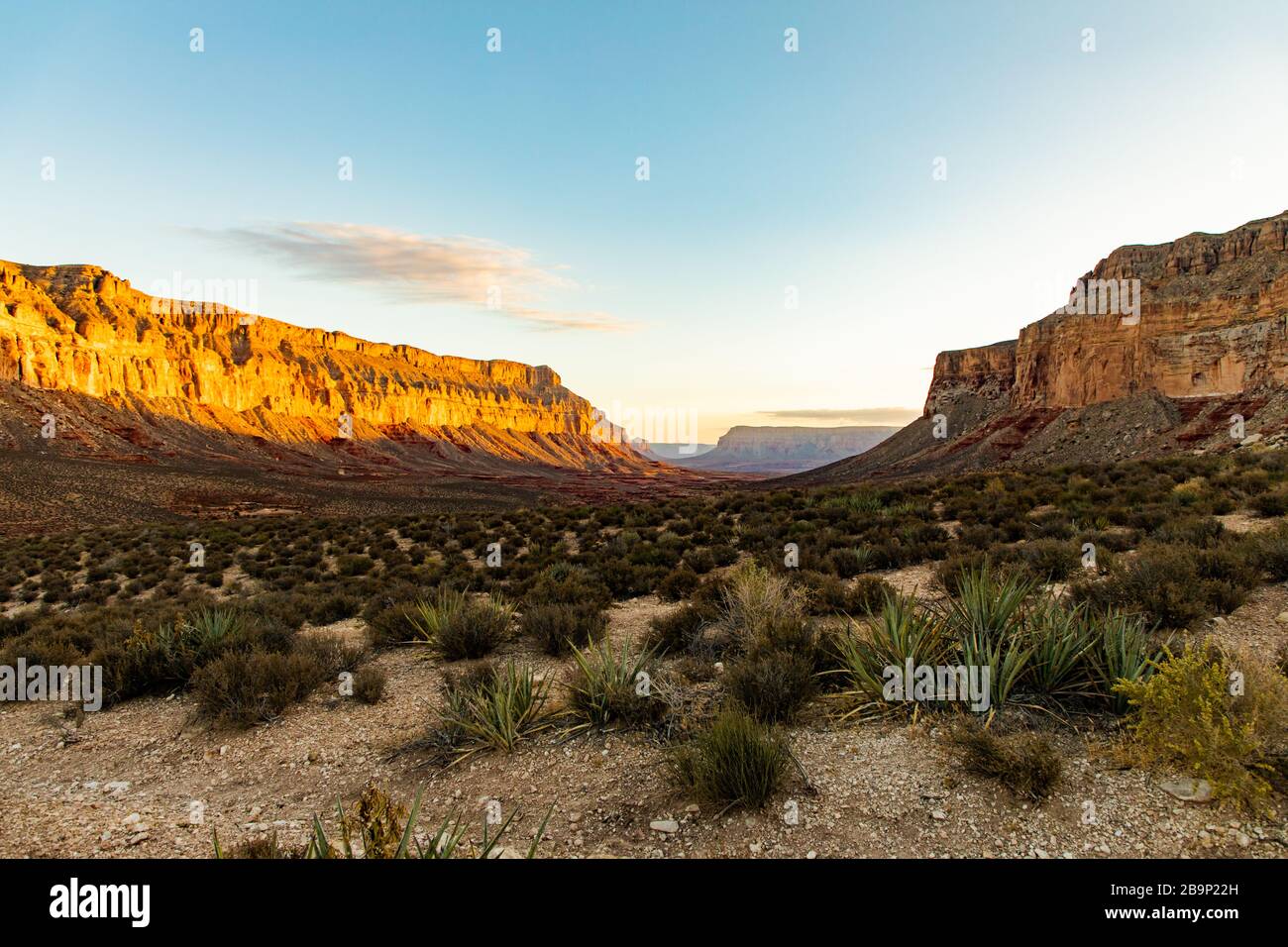 Havasupai indian reserve - Arizona - USA Stock Photo - Alamy