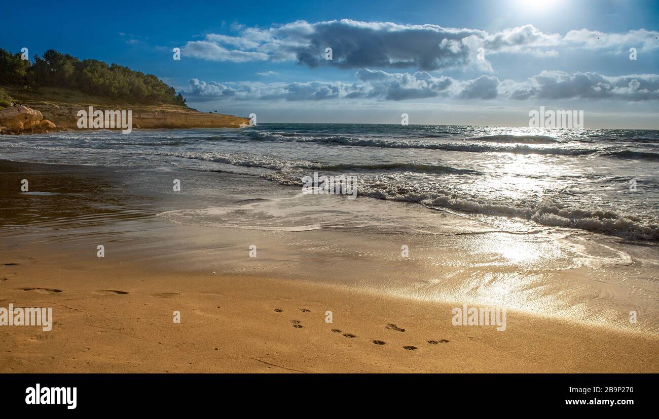 Sandy beach during the daytime with the sun shining Stock Photo - Alamy