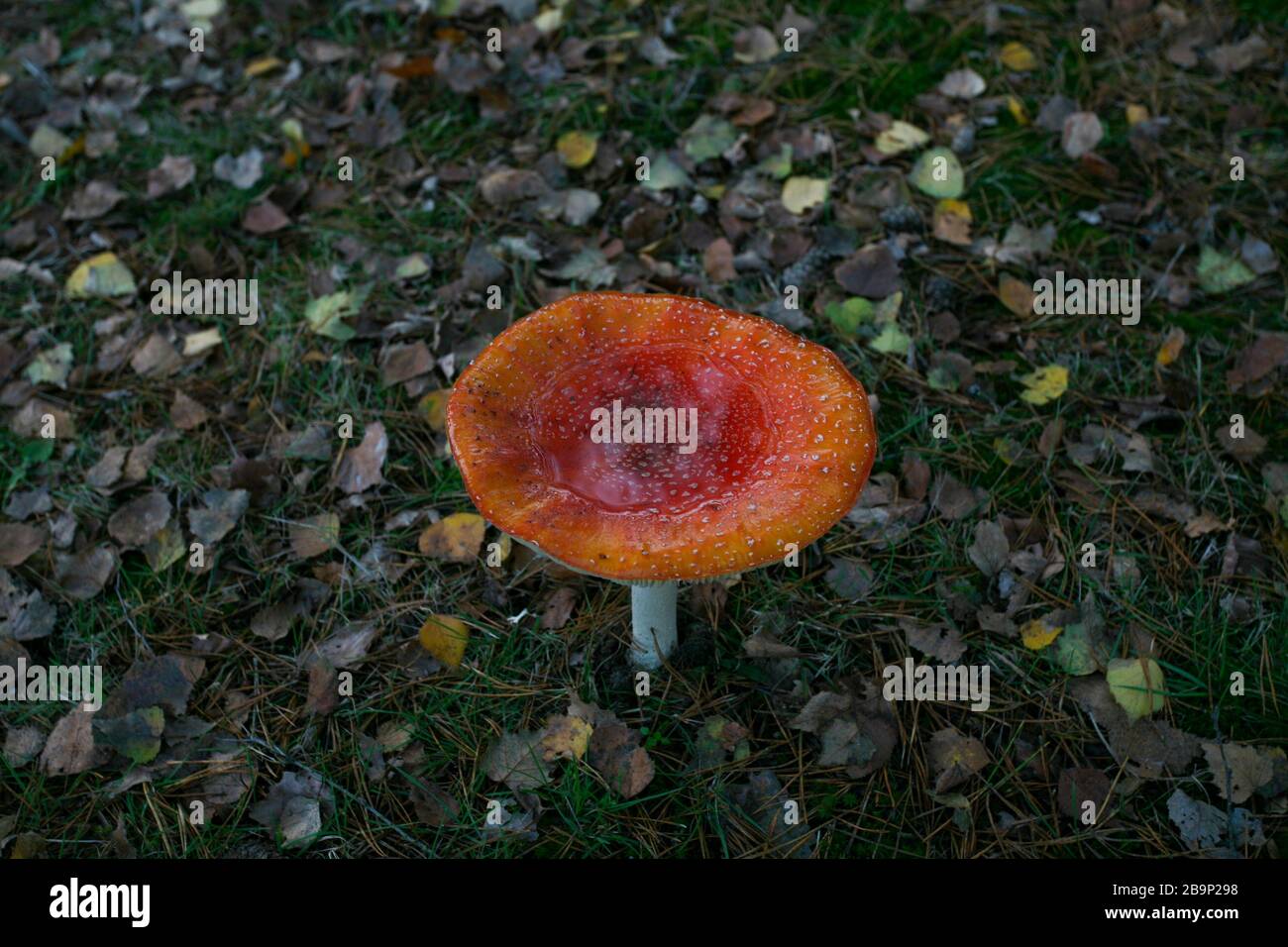 Overhead cooking shot hi-res stock photography and images - Alamy