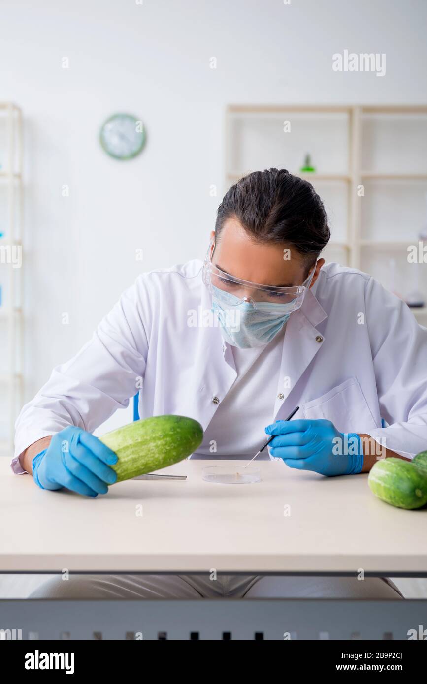 The male nutrition expert testing vegetables in lab Stock Photo - Alamy