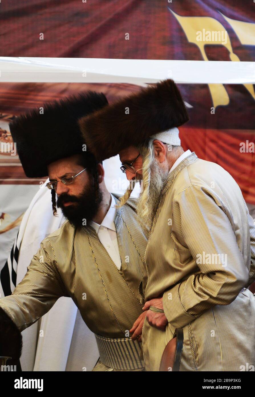 Purim festival celebrations in an Ultra Orthodox Yeshiva in Mea Shearim ...