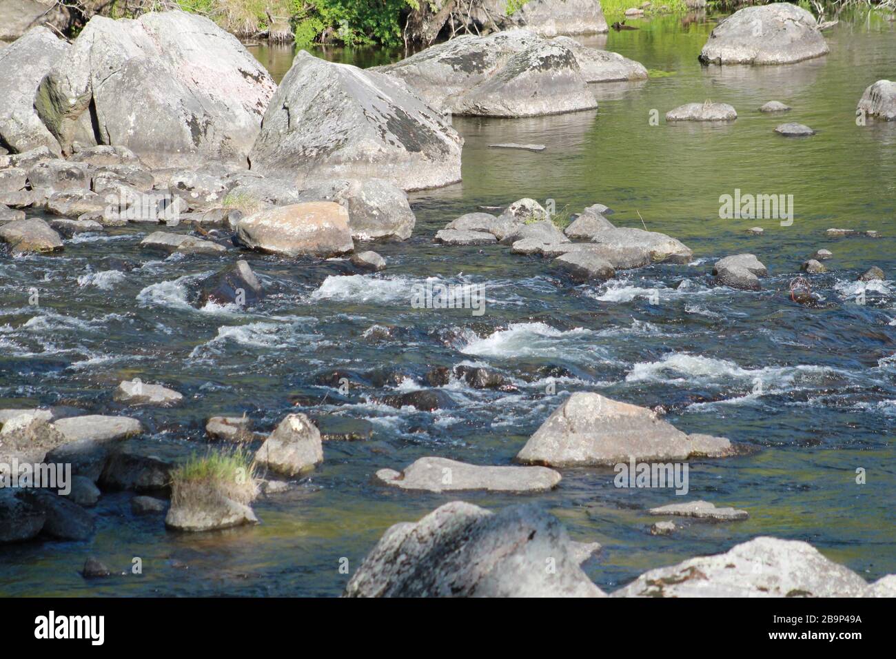 Lot of rocks in a river surrounded by greenery Stock Photo - Alamy