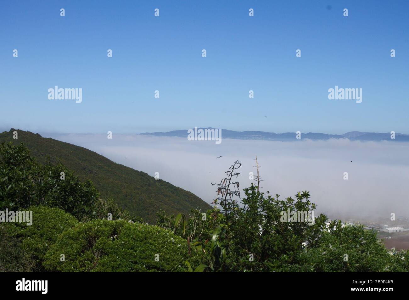 Hutt valley hi-res stock photography and images - Alamy