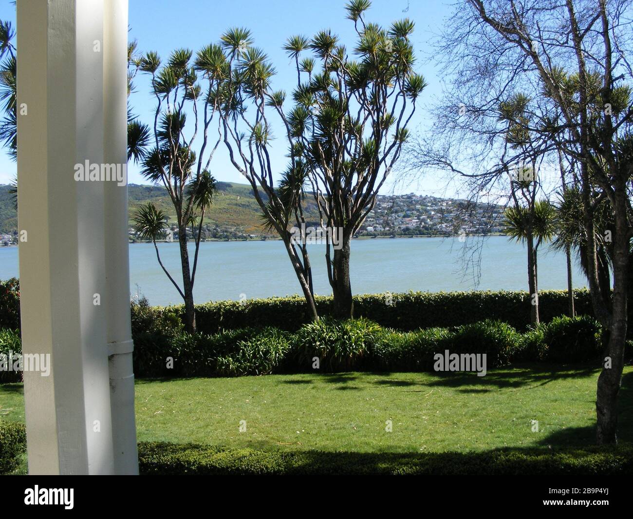 Beautiful garden with green trees in New Zealand Stock Photo - Alamy