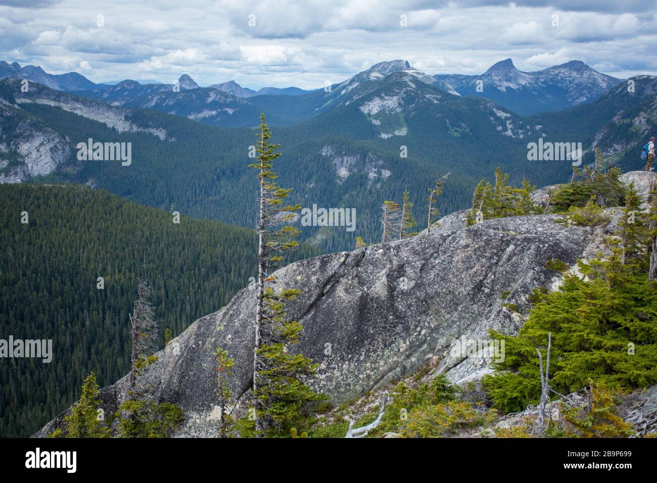 Forests british columbia hi-res stock photography and images - Alamy