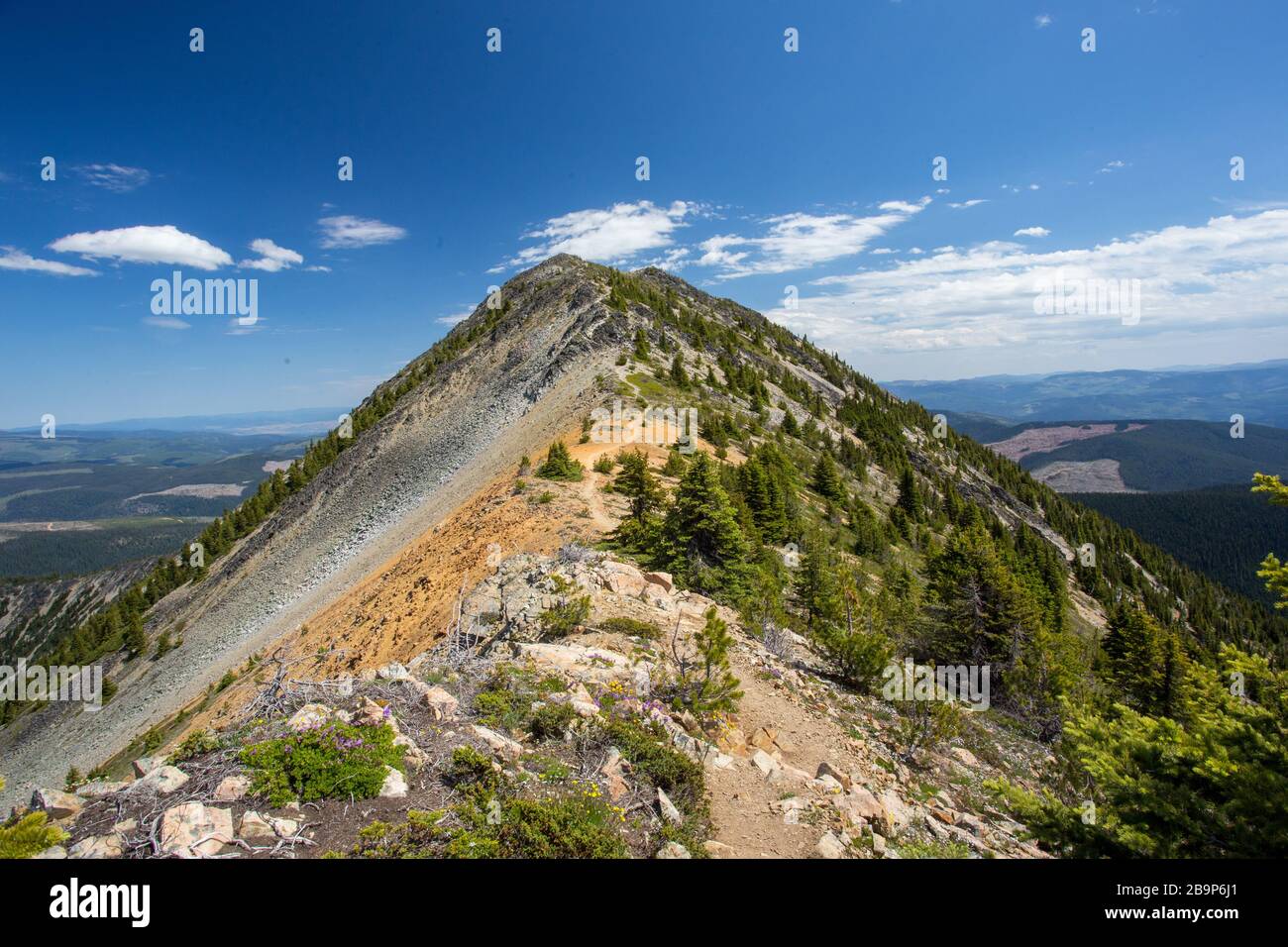 Forests and lakes of british columbia hi-res stock photography and ...