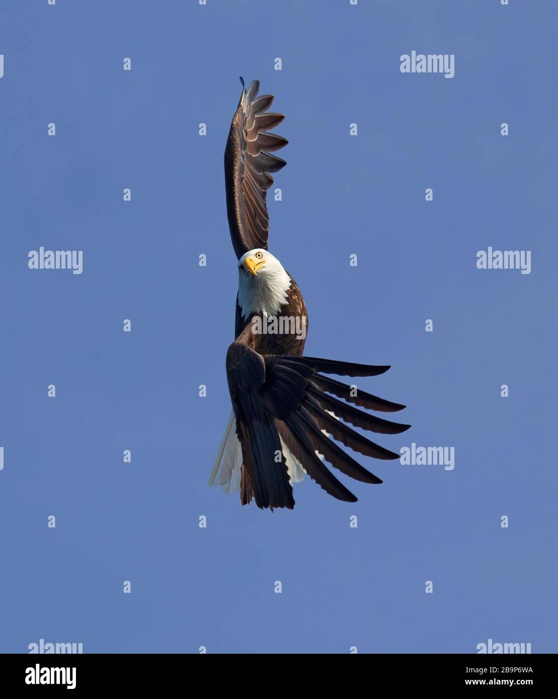 Unusual position hi-res stock photography and images - Alamy