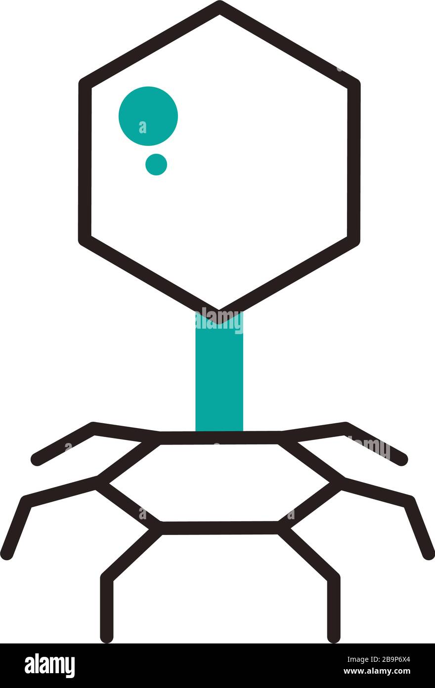 Bacteriophage illustration Stock Vector Images - Alamy