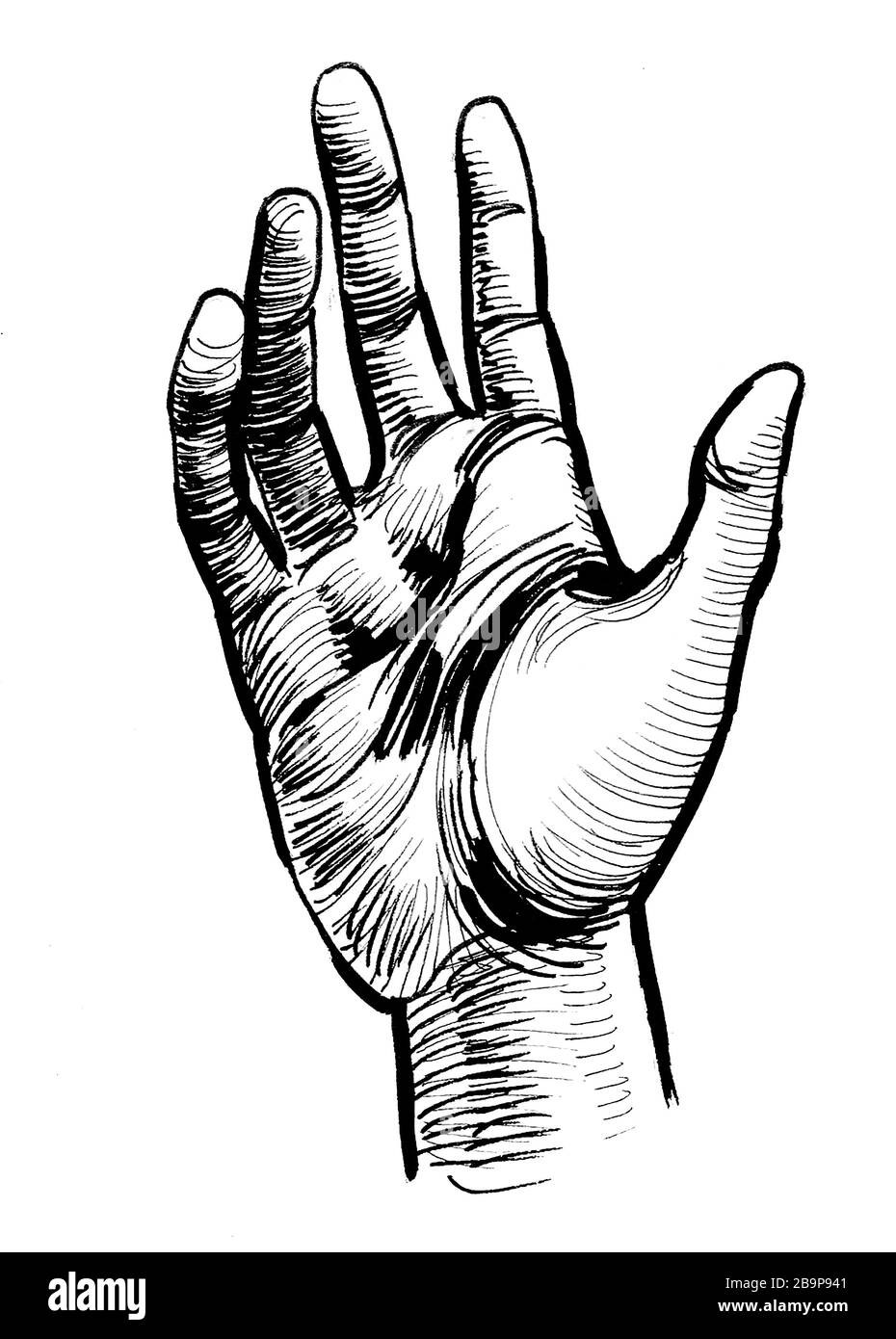 Hand Black And White Drawing