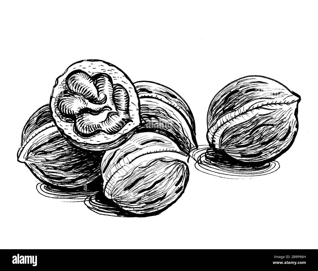 Bunch of walnuts. Ink black and white drawing Stock Photo - Alamy