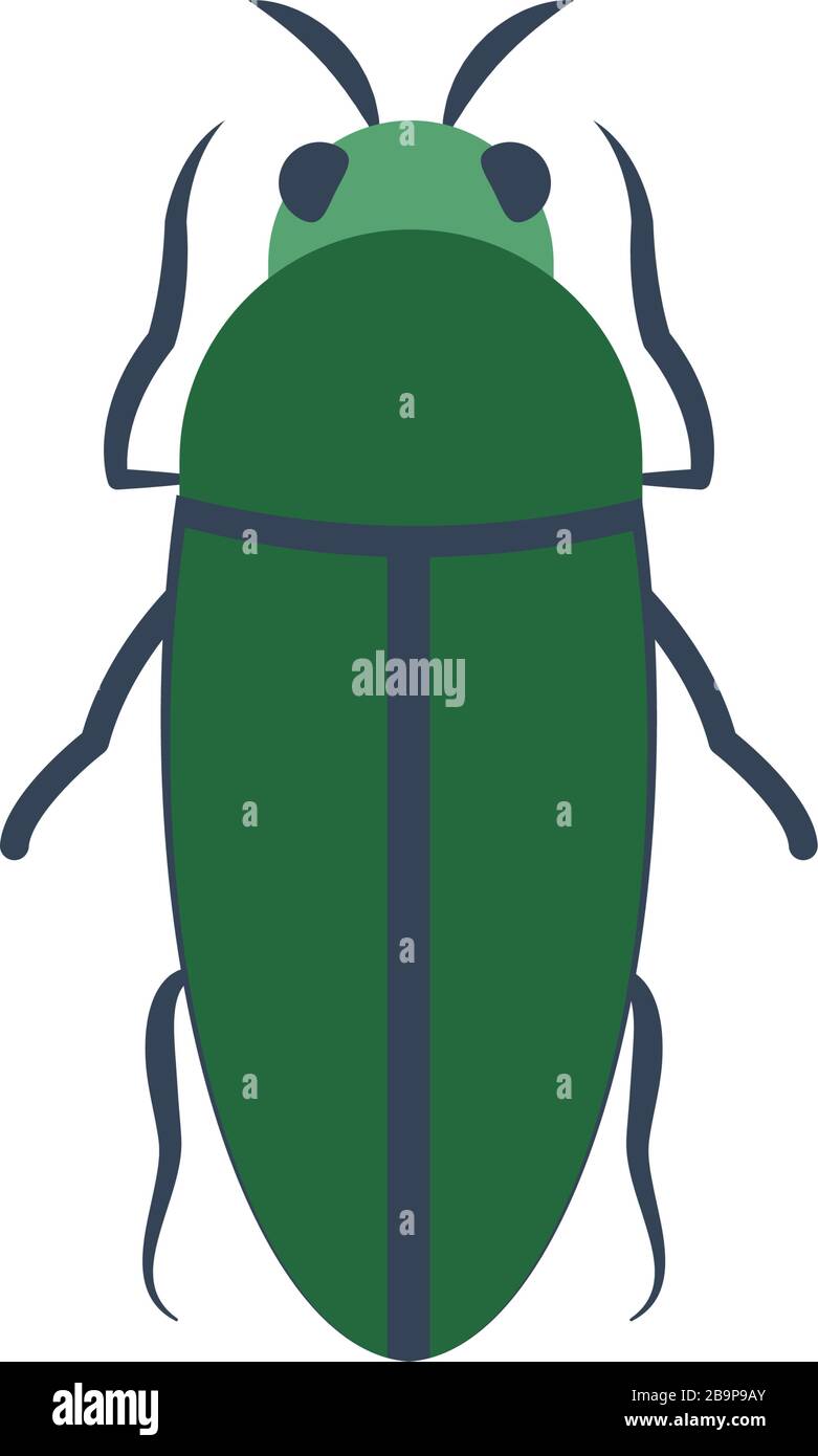 Bug Insect Icon Over White Background Flat Style Vector Illustration