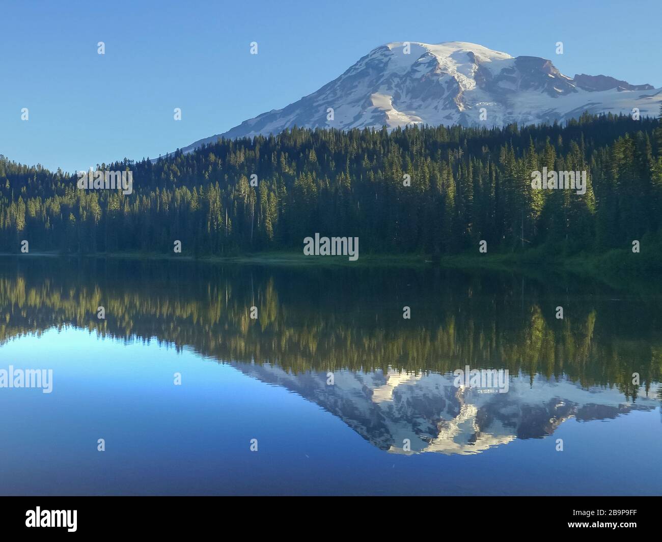 summer morning view of mt rainier and reflection lake Stock Photo - Alamy