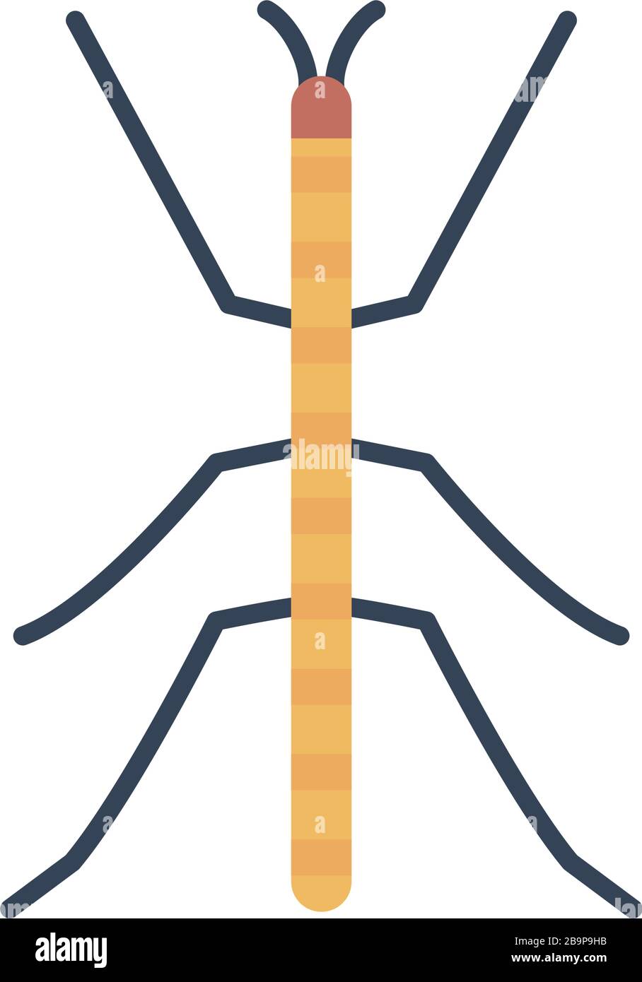 stick insect icon over white background, flat style, vector ...